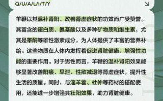 羊鞭是什么_羊鞭的功效与作用