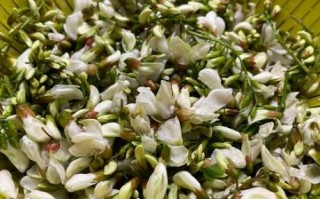 槐花包子素馅怎么做_槐花素馅包子配方