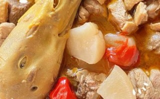 鸭子汤的做法大全_老鸭汤怎么炖好喝又营养