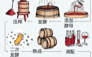 葡萄酒的制作方法_家庭自酿葡萄酒步骤