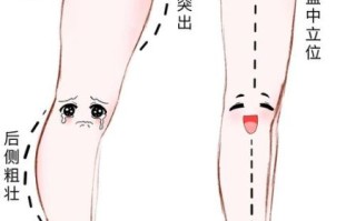 如何快速瘦大腿_三天见效可能吗