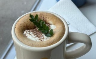 维也纳咖啡的做法_维也纳咖啡和拿铁区别