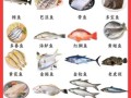 深海鱼营养价值排行_哪些深海鱼最健康