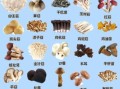 食用蘑菇种类大全_哪些蘑菇最安全