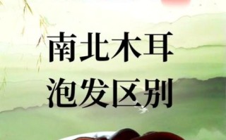 木耳泡多久会中毒_正确泡发时间