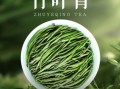 竹叶青茶叶属于什么茶_竹叶青是绿茶吗