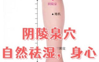 去湿气最好的穴位有哪些_怎么按才有效