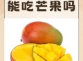 芒果的功效与作用禁忌_月经期能吃芒果吗