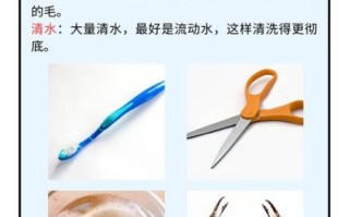 野生螃蟹怎么清洗_野生螃蟹的做法步骤