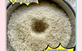 自制甜酒酿的做法_甜酒酿失败原因