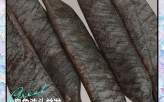 皂角洗头有什么好处_皂角洗头能去屑吗