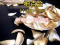 鲜百合可以生吃吗_生吃鲜百合的注意事项