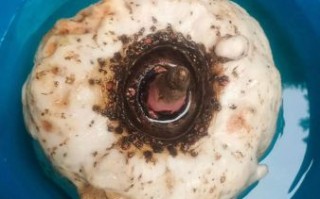 魔芋豆腐怎么做好吃_凉拌魔芋豆腐的做法