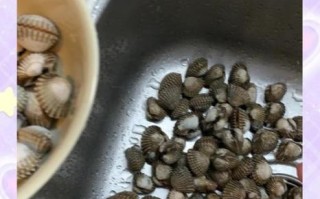 血螺的功效与作用_血螺怎么吃最补血