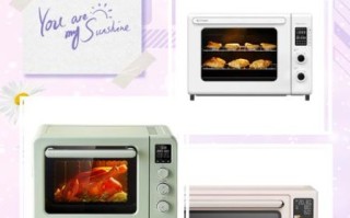 家用烤箱哪个牌子好_家庭烤箱怎么选
