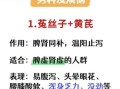 菟丝子补肾最佳配伍_菟丝子与什么搭配最补肾