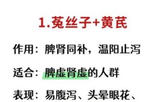 菟丝子补肾最佳配伍_菟丝子与什么搭配最补肾