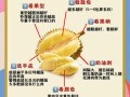 怎么挑选榴莲_榴莲怎么挑才肉多