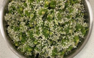韭菜花怎么腌制_韭菜花做法视频