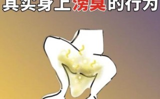 durian_为什么有人觉得臭