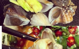 海螺怎么做好吃_海螺怎么吃才安全