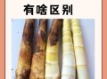 冬笋和春笋有什么区别_哪个更鲜嫩