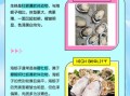 牡蛎和生蚝的区别_哪个营养价值更高