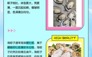 牡蛎和生蚝的区别_哪个营养价值更高