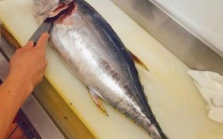 最便宜的金枪鱼是哪种_超市冷冻黄鳍还是罐装鲣鱼