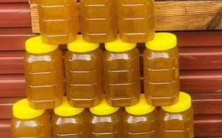 枣花蜜的功效与作用及禁忌_哪些人不能吃