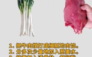 牛肉包饺子馅怎么调_牛肉饺子馅放什么去腥