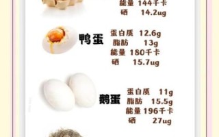 鸡蛋的营养成分有哪些_鸡蛋一天吃几个最好