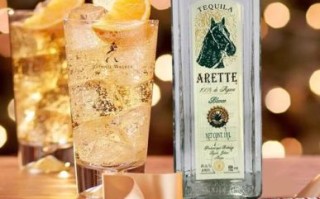 龙舌兰酒价格_龙舌兰酒多少钱一瓶