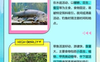 淡水青鱼图片大全_如何分辨青鱼与草鱼