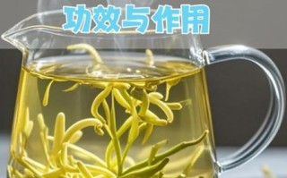 金银花茶有什么功效_金银花茶怎么喝才有效