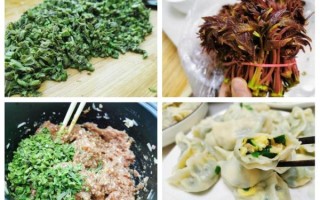 香椿饺子馅怎么做_香椿饺子馅的做法大全