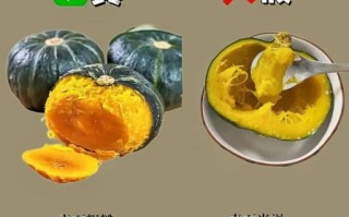 食品安全知识大全_如何辨别变质食品