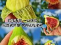 无花果皮可以一起吃吗_吃无花果要不要去皮