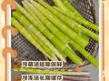 鲜笋怎么保存_鲜笋可以放冰箱吗