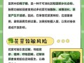 菜花有什么功效与作用_菜花禁忌人群有哪些