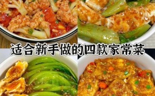 南方家常菜怎么做_哪些菜最适合新手