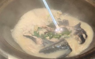 鲫鱼汤炖多久_鲫鱼汤炖多久最好喝