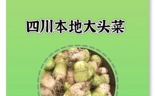 腌大头菜怎么腌好吃又脆_大头菜腌制多久才入味