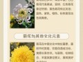 菊花的花语是什么_菊花适合送什么人