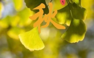 立秋当天有什么禁忌_立秋当天不能做什么