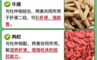 杜仲可以治腰椎间盘突出吗_杜仲治腰突效果怎么样