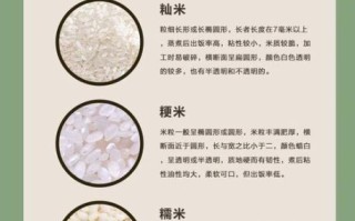 粳米和籼米的区别哪个好_籼米与粳米哪个更适合日常吃