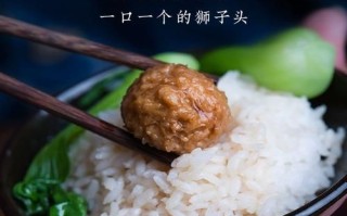 四喜丸子怎么做_老饭骨视频详细步骤