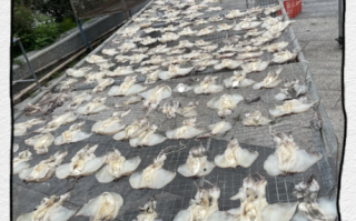 鱼干怎么晒_家常鱼干制作方法