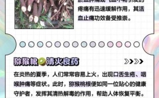 野猕猴桃根抗肿瘤偏方_真的有效吗